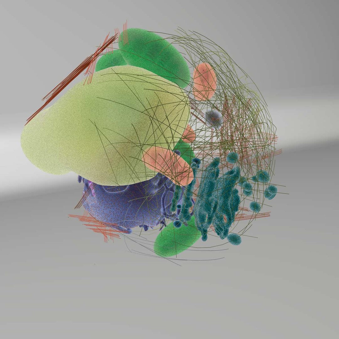 Biological Plant Cell C4d