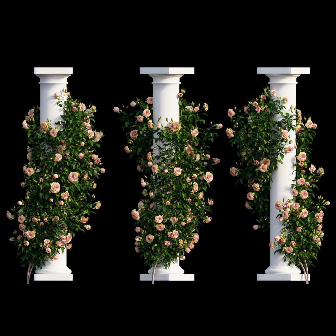 3D Rose Plant Set 10 - TurboSquid 1543693
