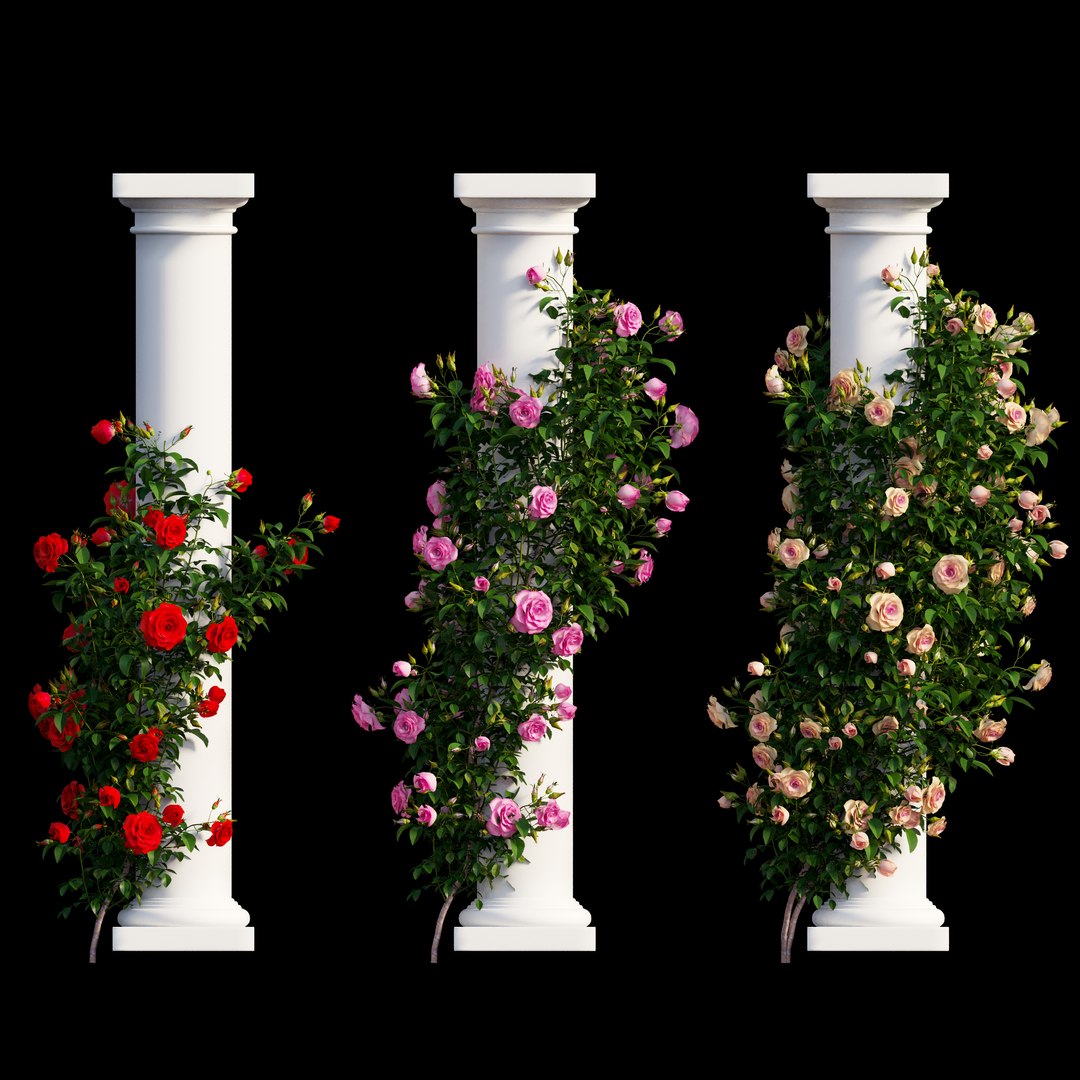 3D Rose Plant Set 10 - TurboSquid 1543693