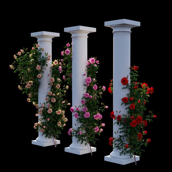 3D rose plant set 10 - TurboSquid 1543693