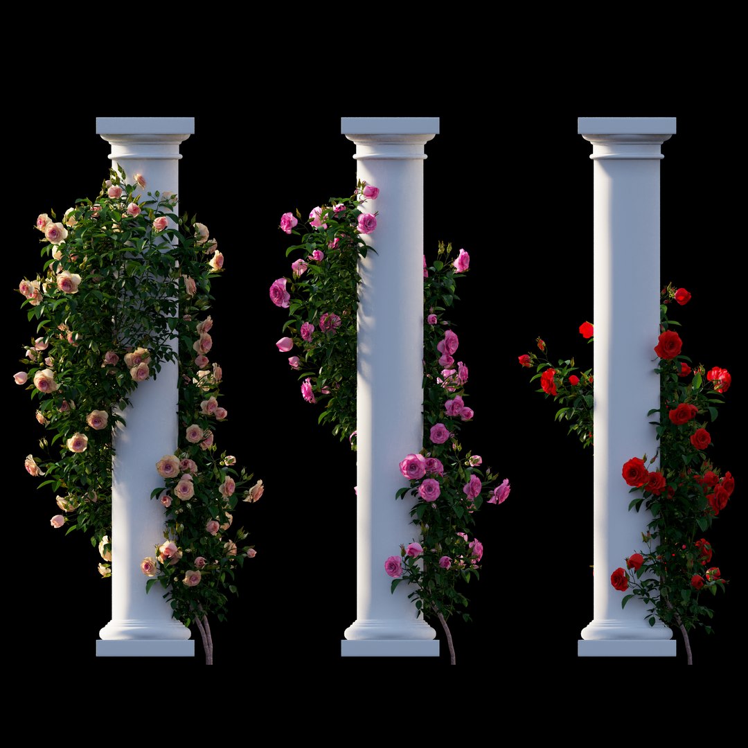 3D Rose Plant Set 10 - TurboSquid 1543693
