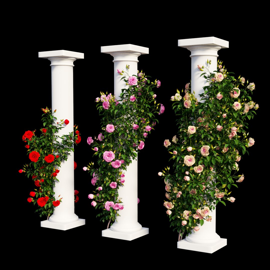 3D Rose Plant Set 10 - TurboSquid 1543693