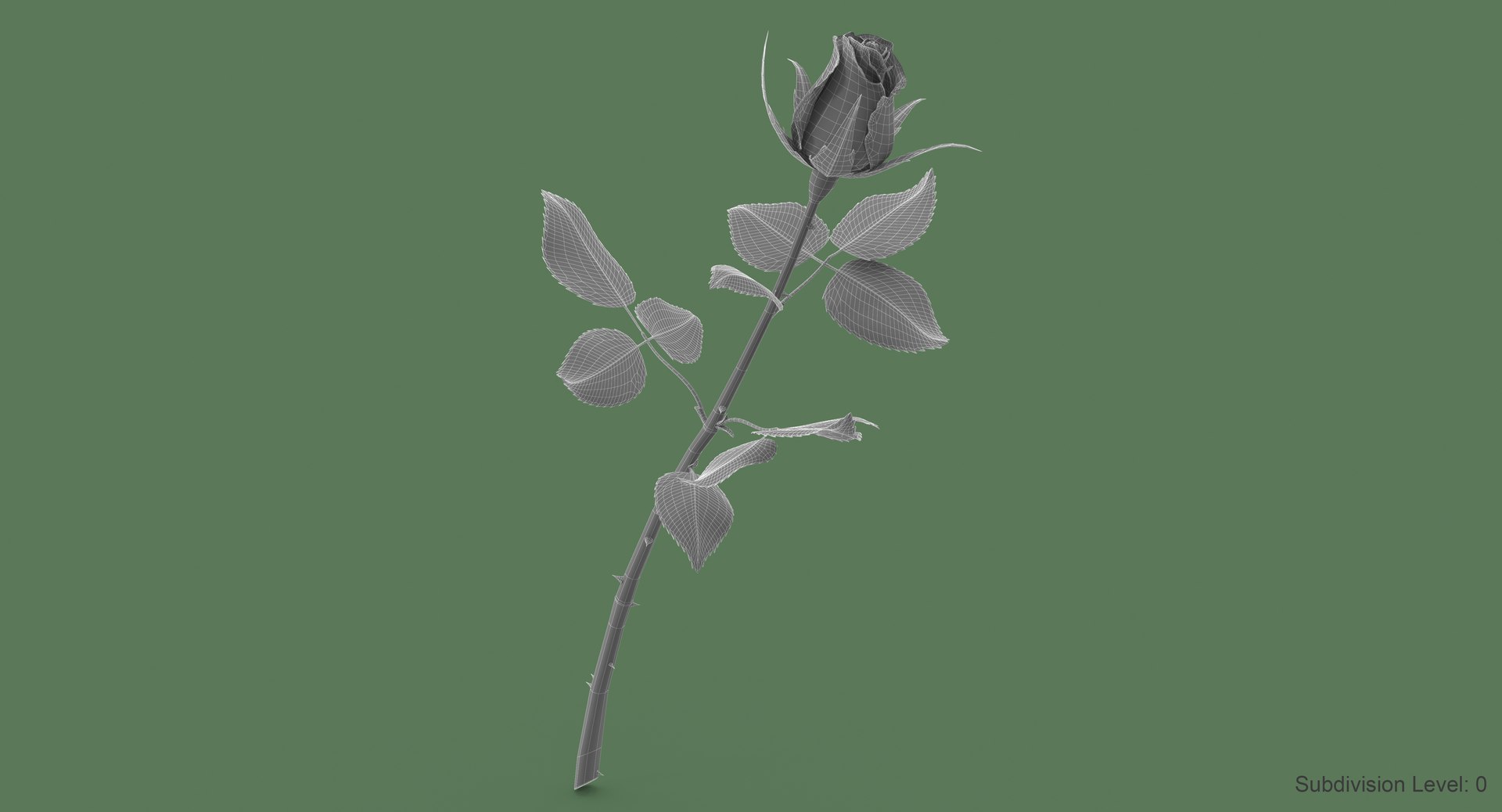 Rose Modeled 3d Max
