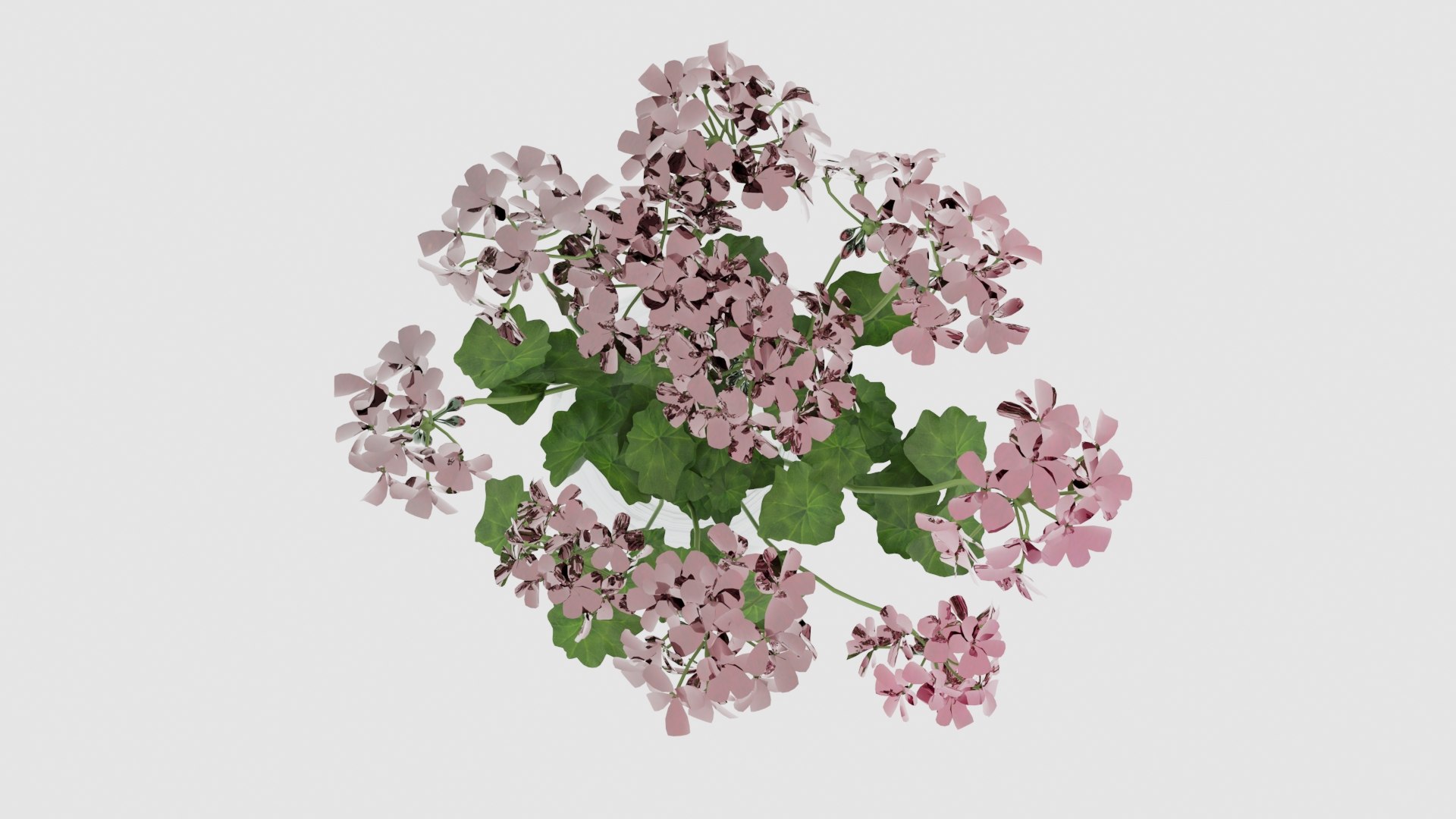 3D Model Light Pink Flowers In A Glass Vase - TurboSquid 2079338