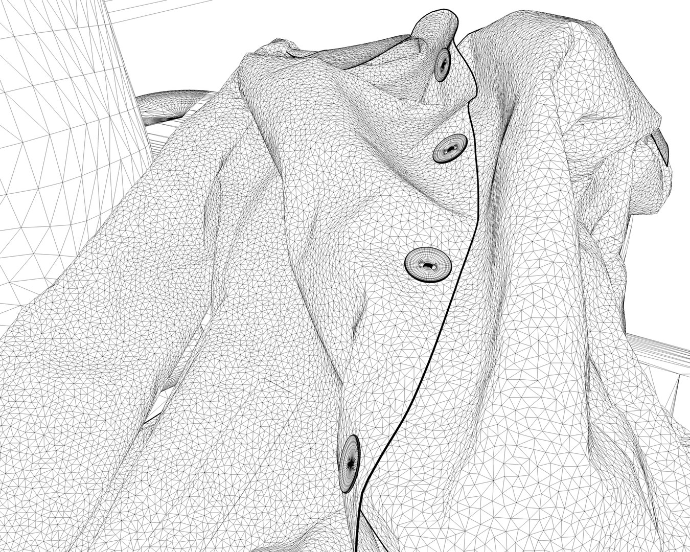 coat 3ds