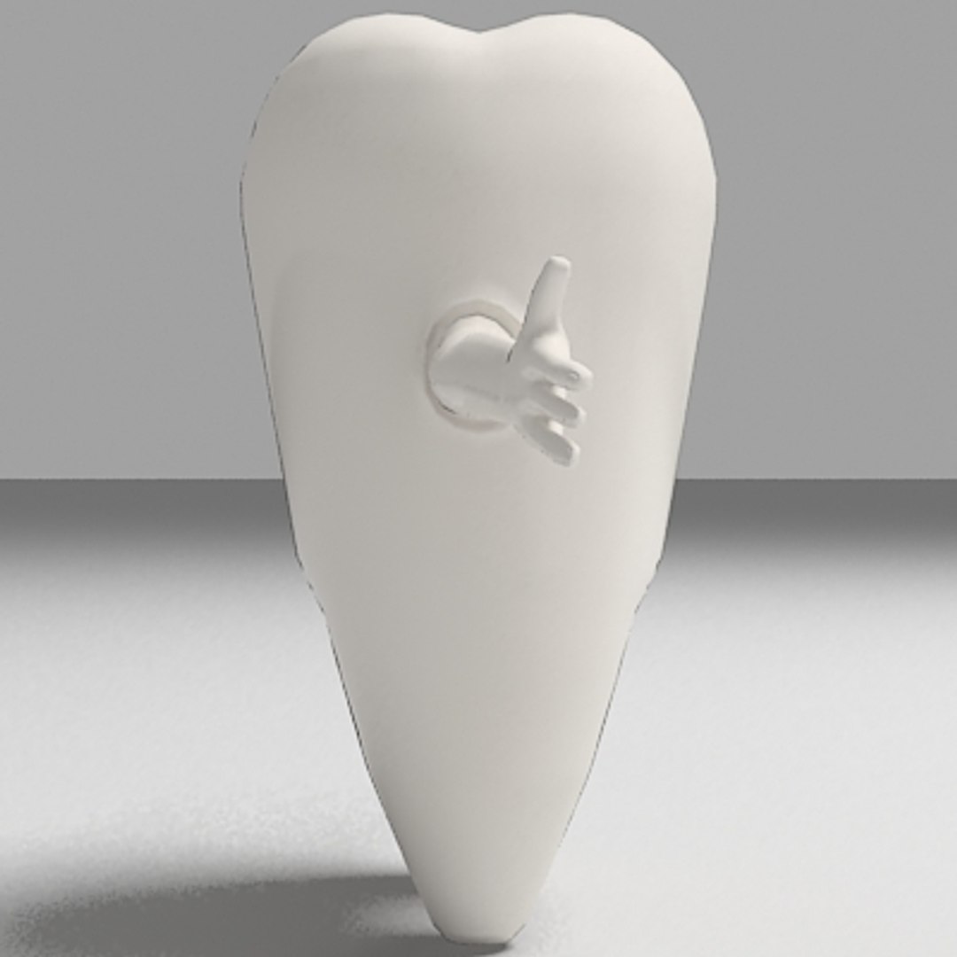 Cartoon Tooth Rigged Character 3d Model