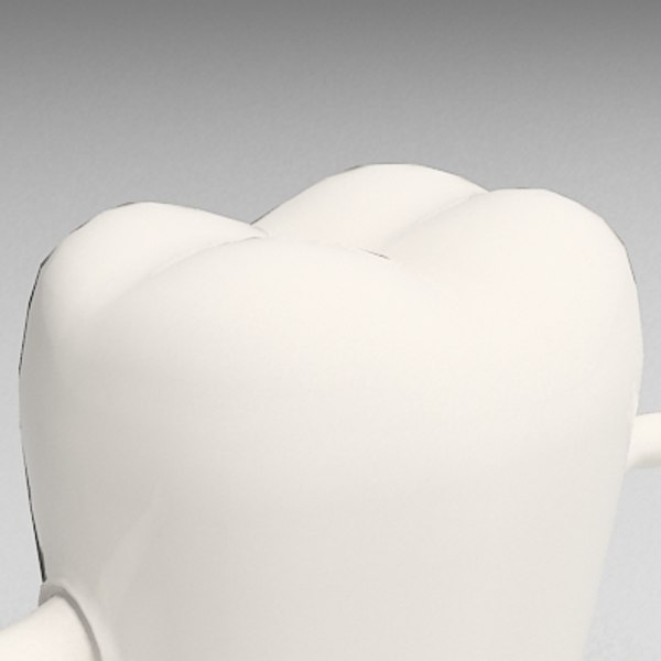 cartoon tooth rigged character 3d model