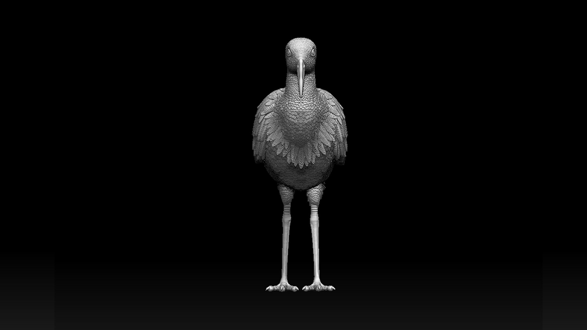 Wading Bird 3D Model - TurboSquid 2120484