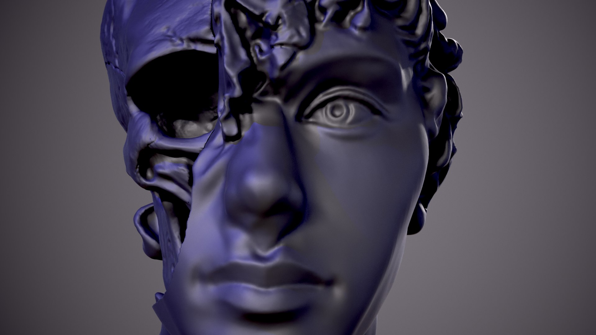 3D Half Head Half Skull 3D model - TurboSquid 2170492