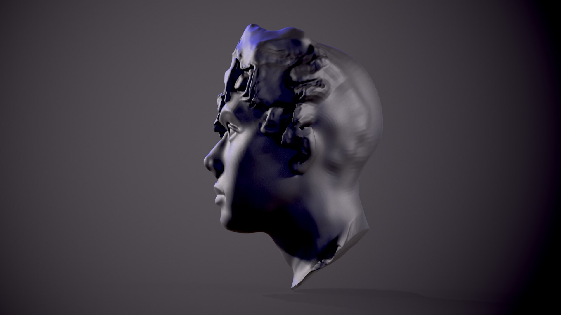 3D Half Head Half Skull 3D model - TurboSquid 2170492