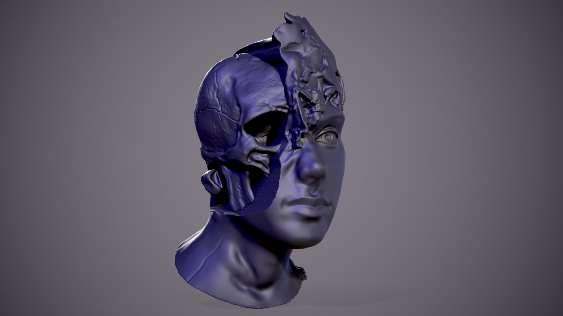 3D Half Head Half Skull 3D model - TurboSquid 2170492