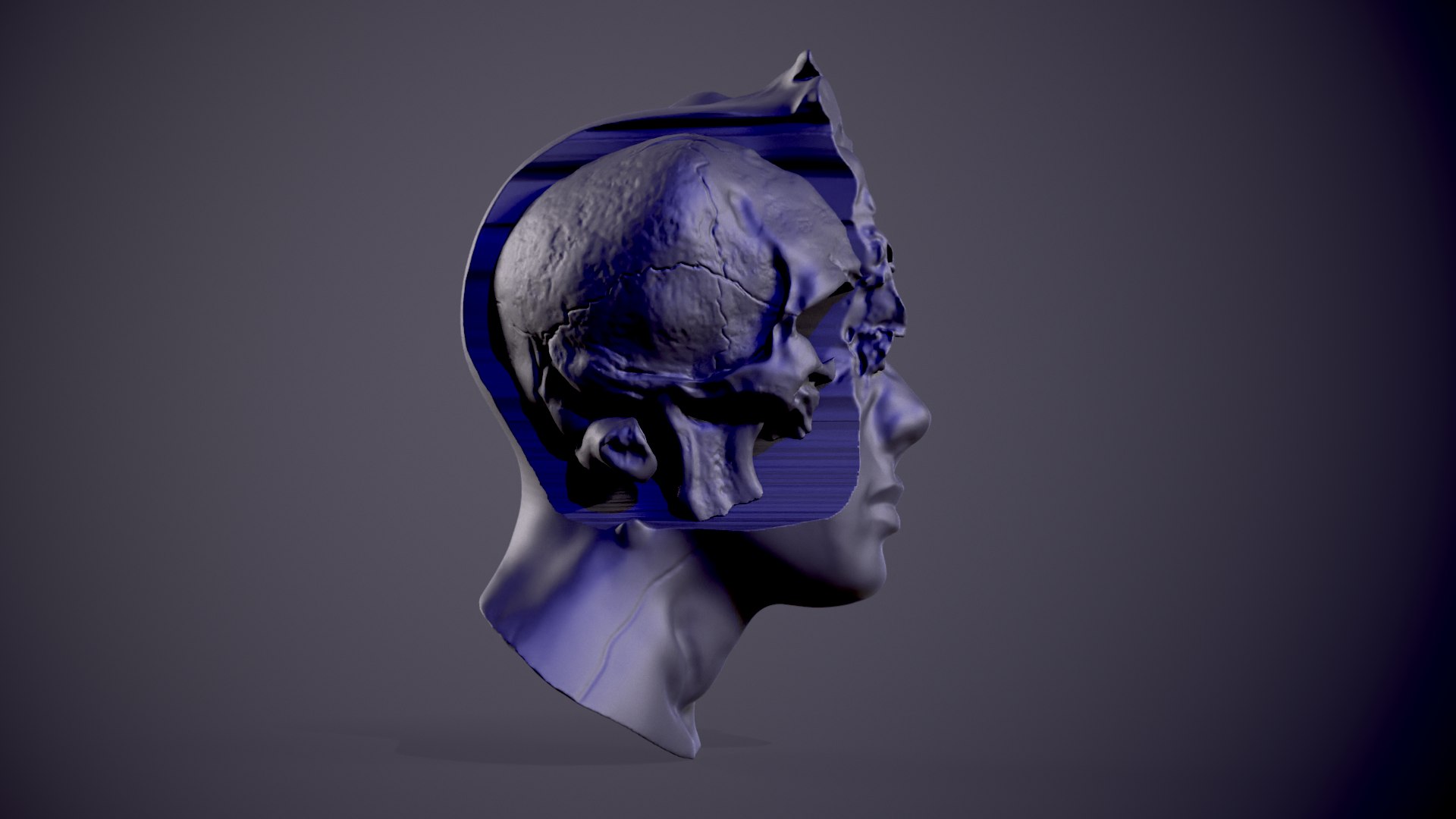 3D Half Head Half Skull 3D model - TurboSquid 2170492