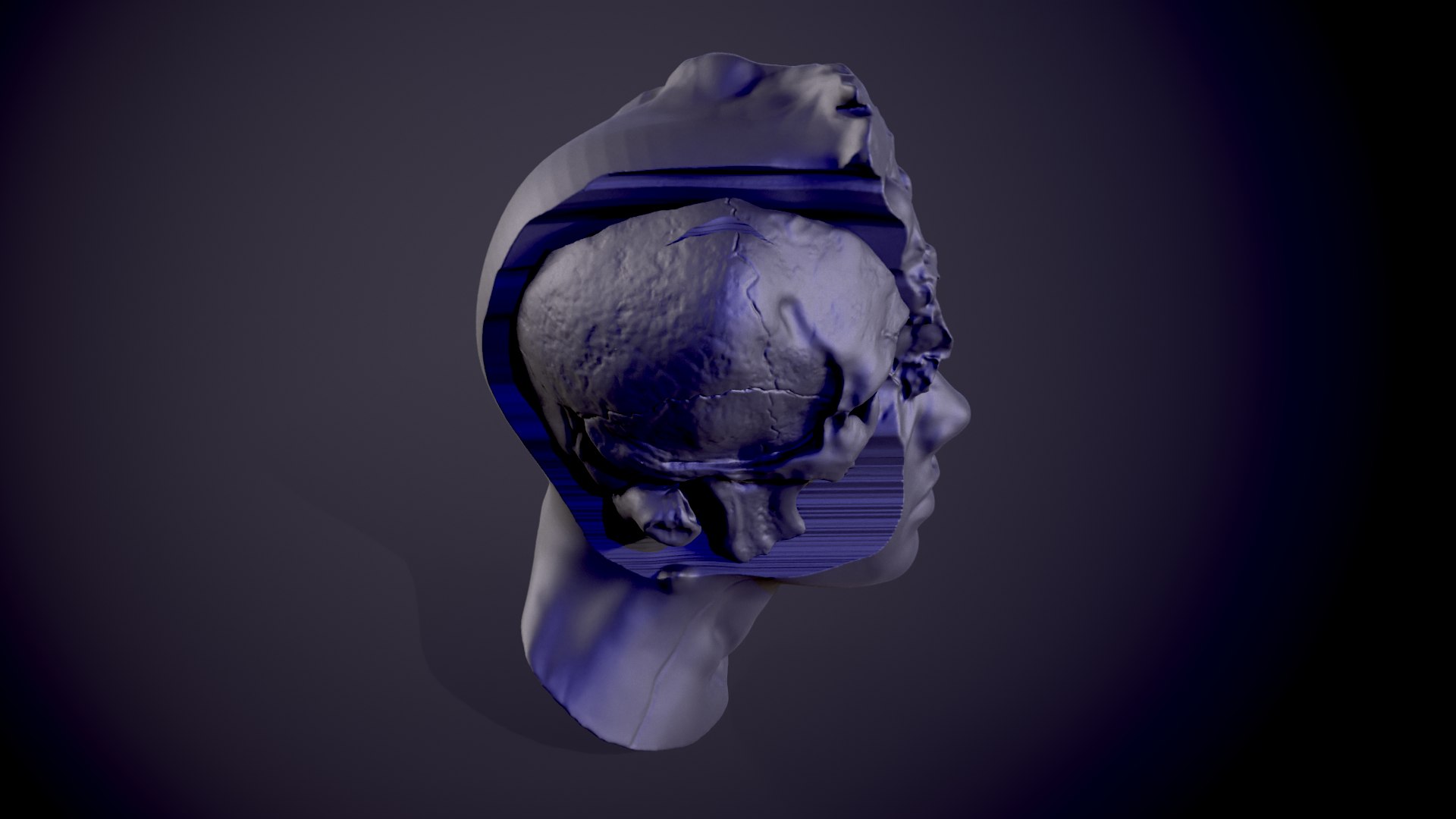 3D Half Head Half Skull 3D model - TurboSquid 2170492