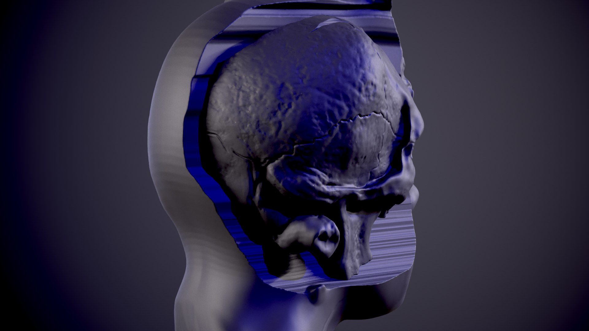 3D Half Head Half Skull 3D Model - TurboSquid 2170492