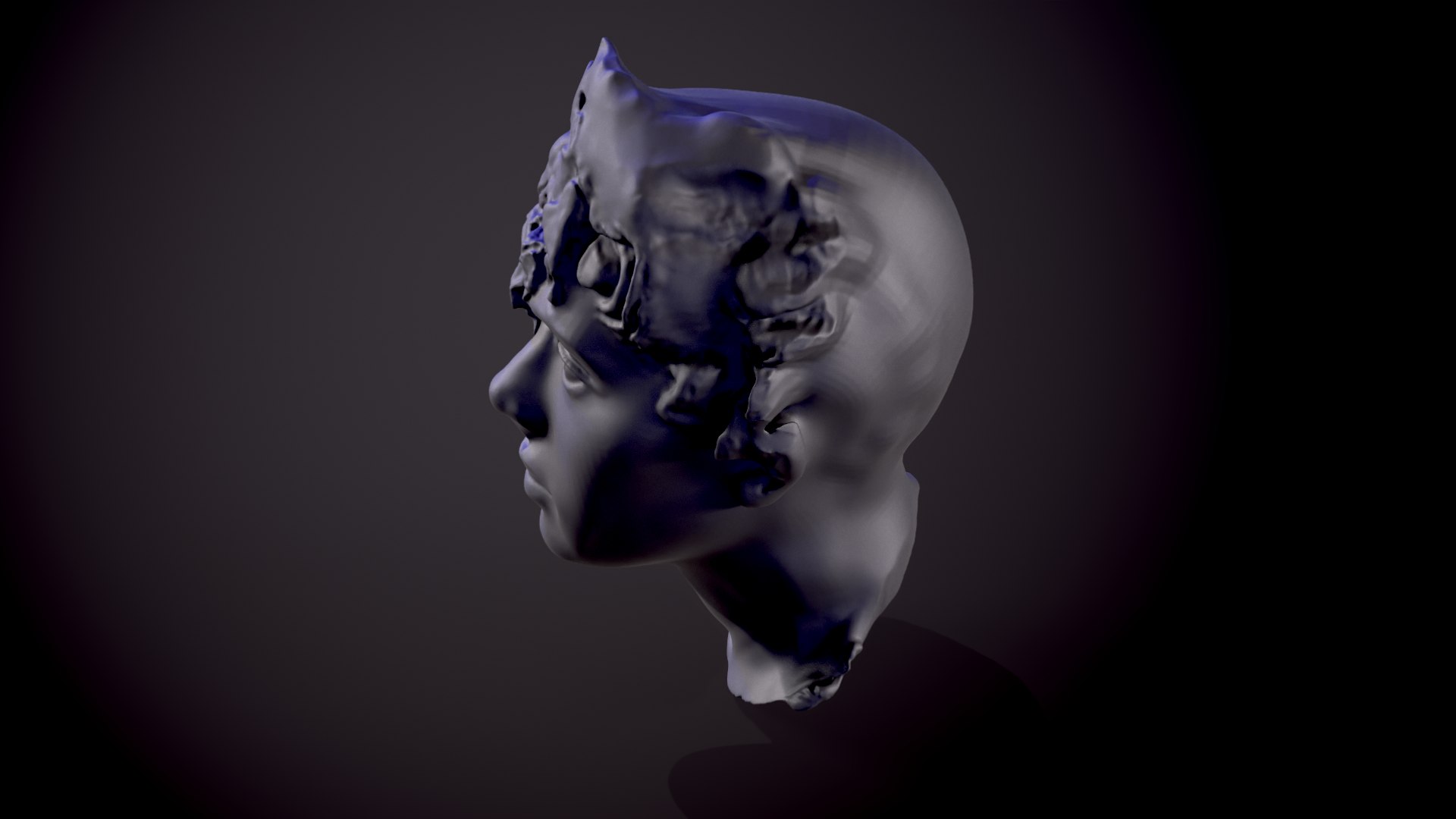 3D Half Head Half Skull 3D model - TurboSquid 2170492