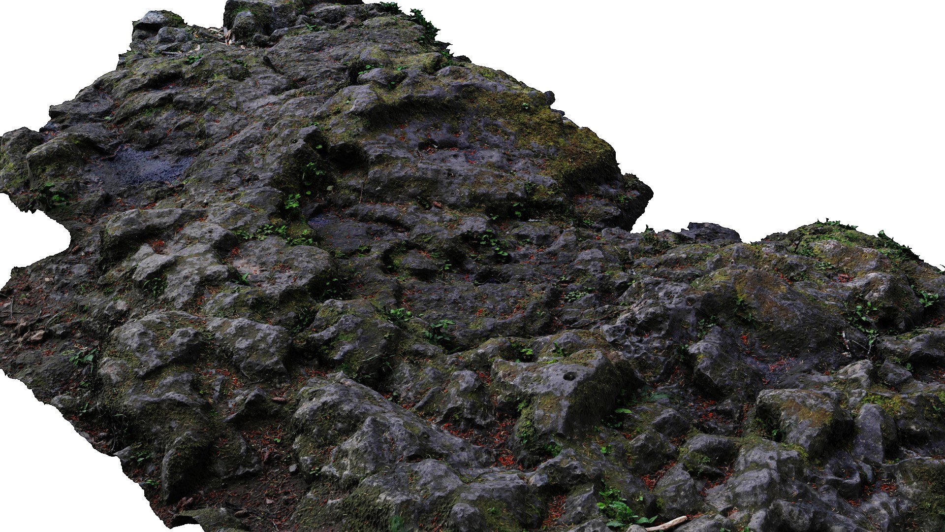 3D Big Mossy River SideRock Model - TurboSquid 2236215