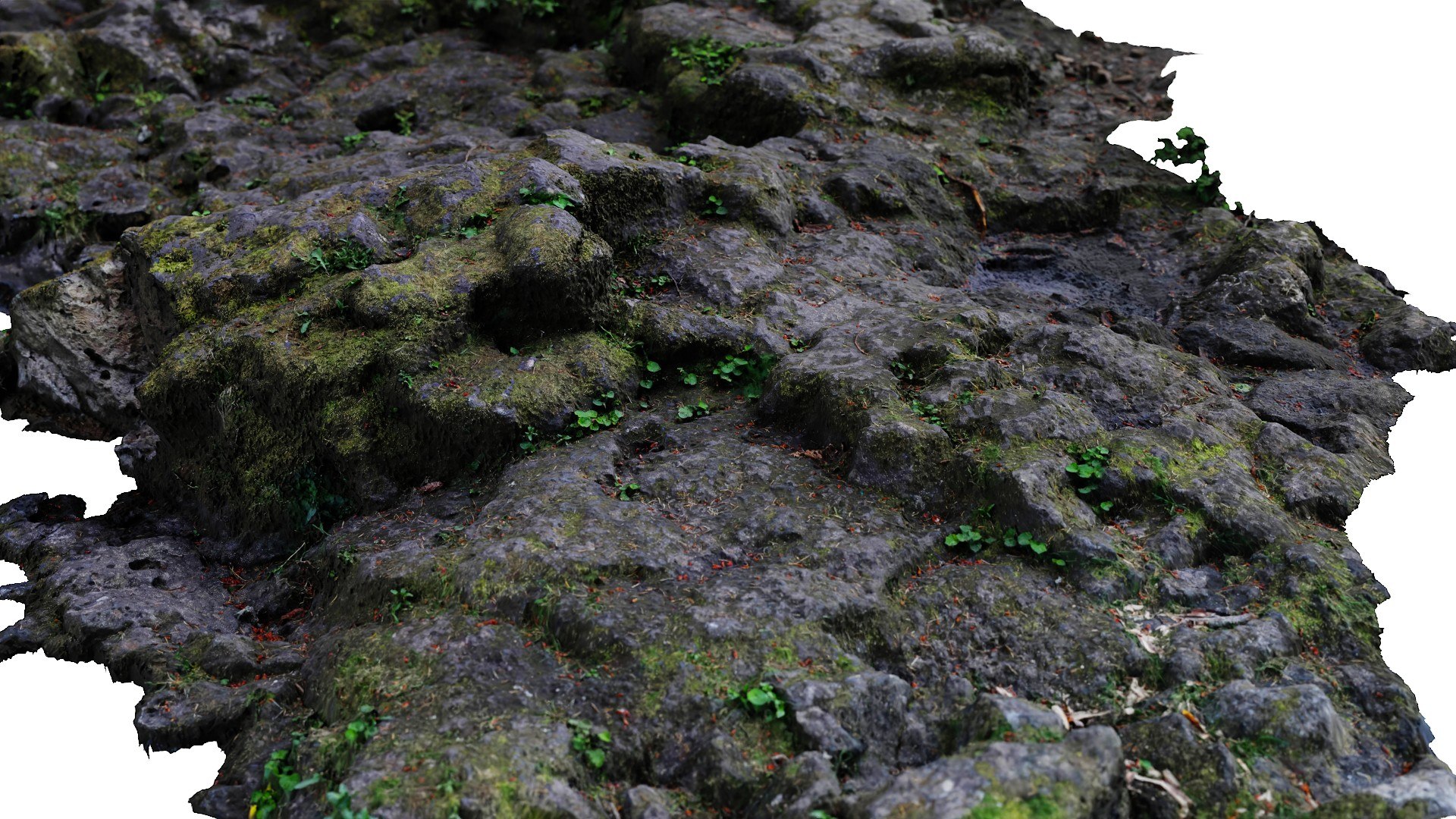 3D Big Mossy River SideRock Model - TurboSquid 2236215