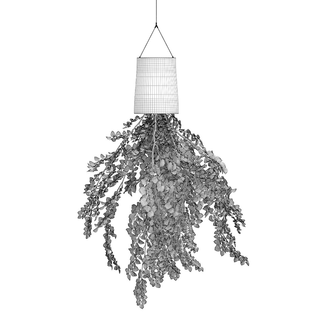 3d model plant hanging