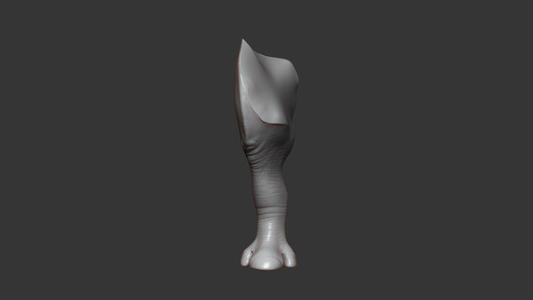 Rhino Baby Rear Leg Highpoly Sculpt model - TurboSquid 1814047