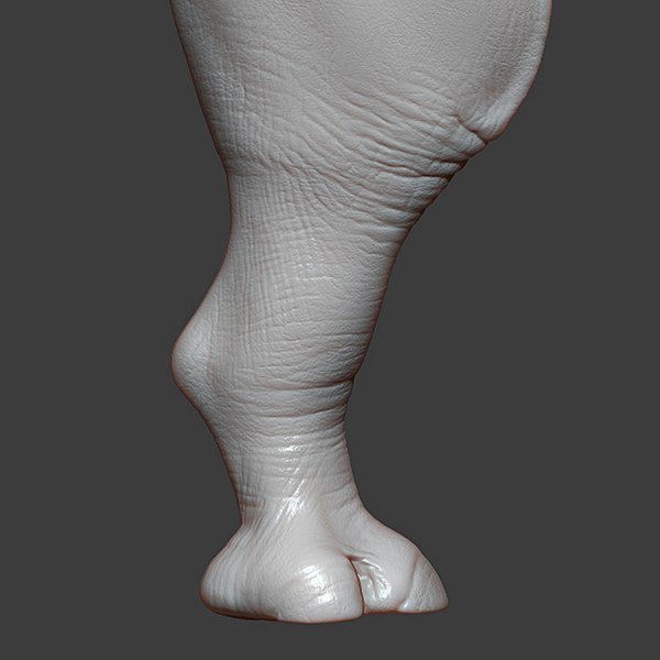 Rhinoceros STL Models for Download | TurboSquid