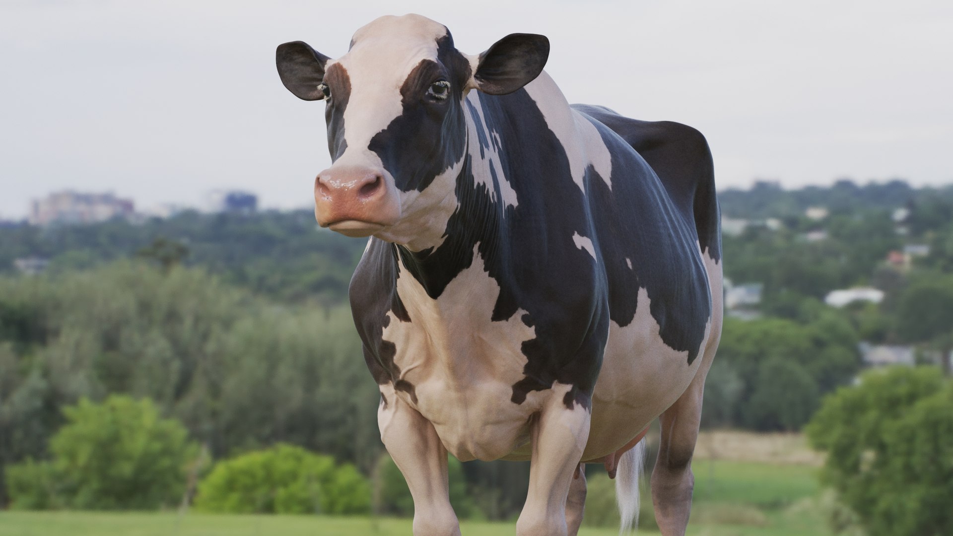 Holstein Cow 3D Model - TurboSquid 1681931