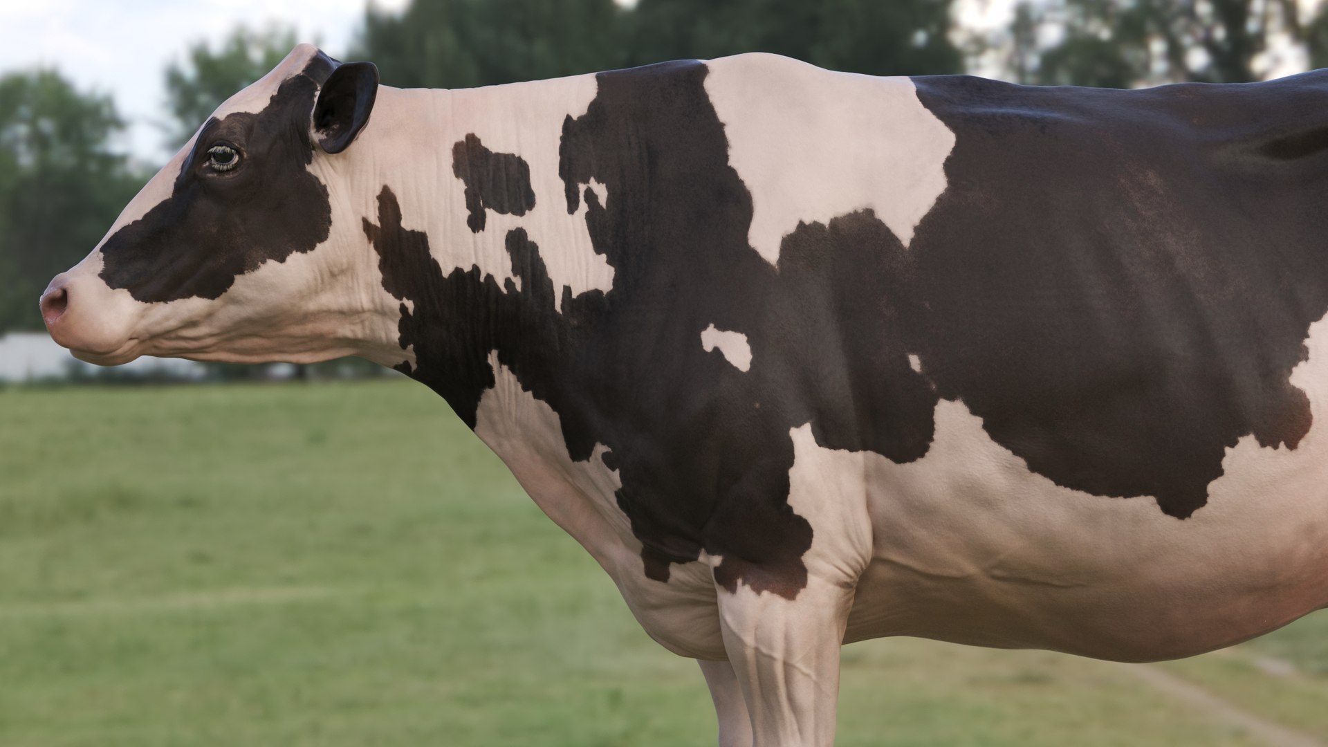 Holstein Cow 3D Model - TurboSquid 1681931