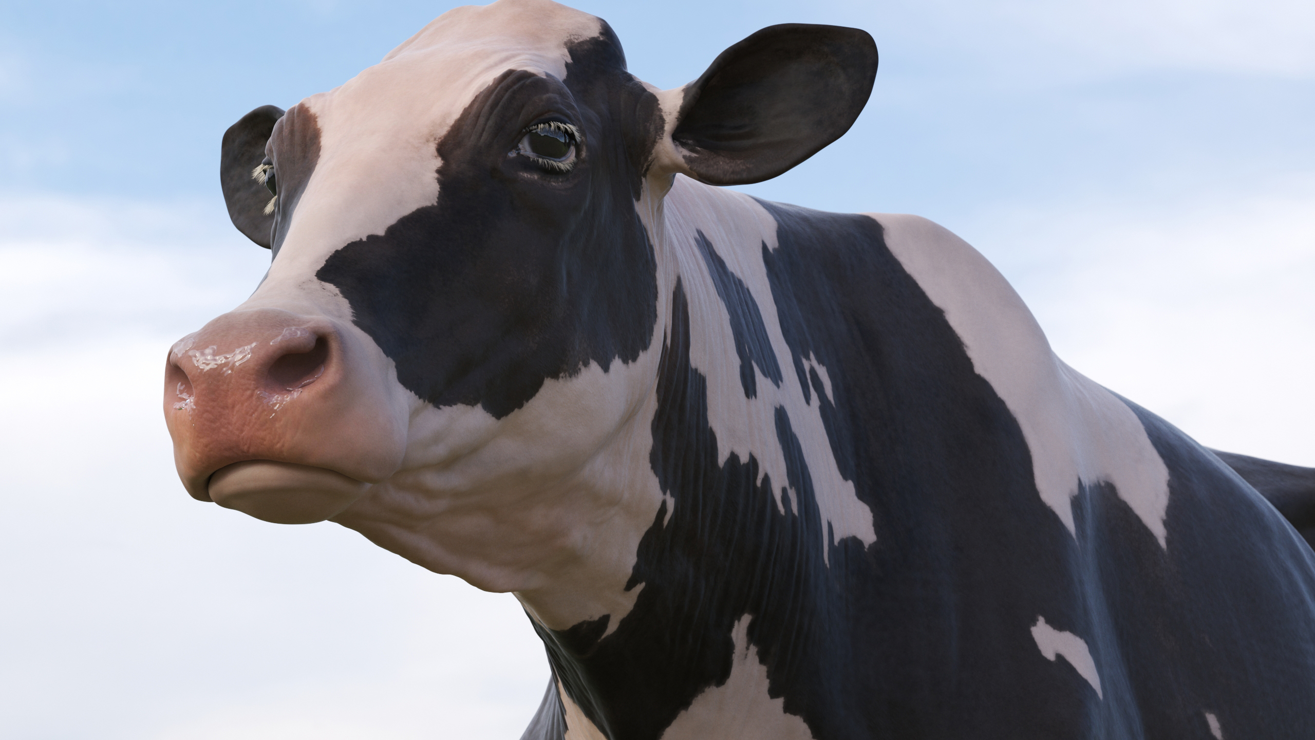 Holstein cow 3D model - TurboSquid 1681931