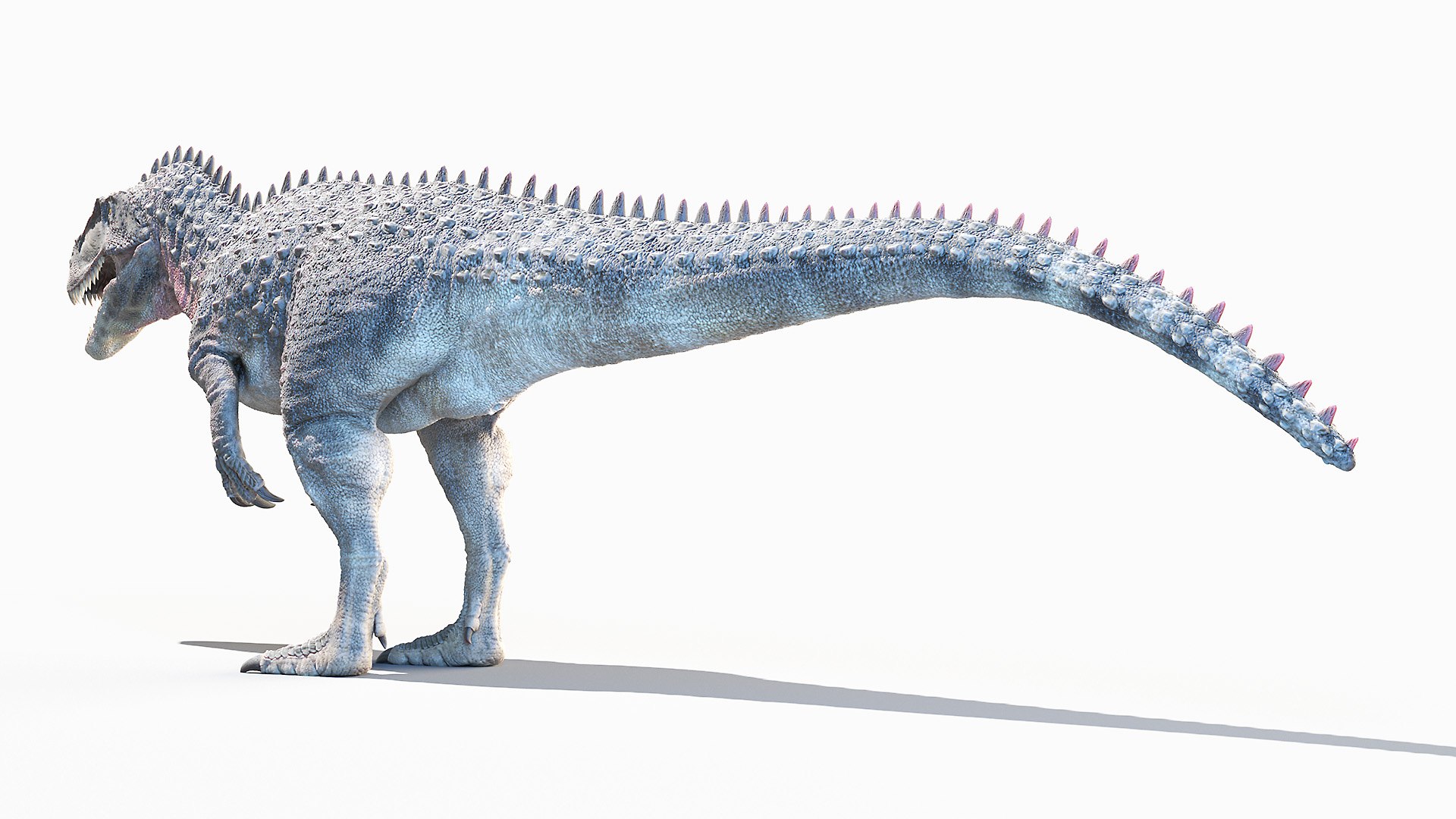 3D Torvosaurus Animated Model - TurboSquid 1741793