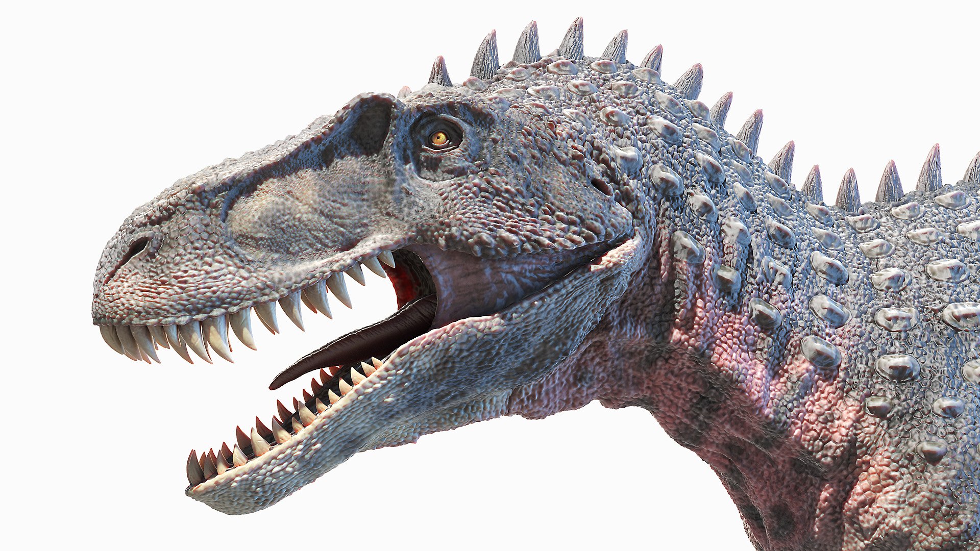 3D Torvosaurus Animated Model - TurboSquid 1741793