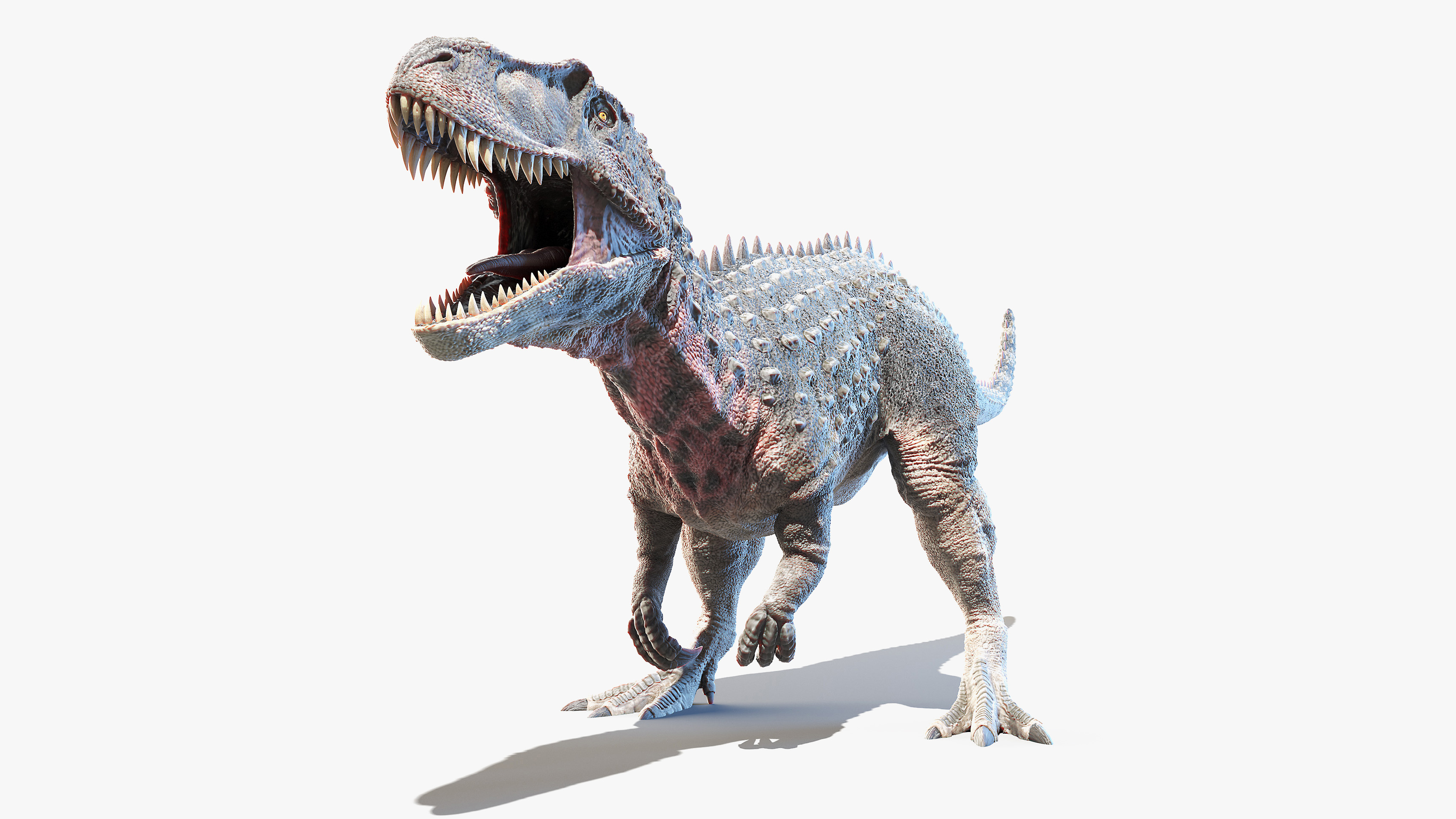 3D Torvosaurus Animated model - TurboSquid 1741793