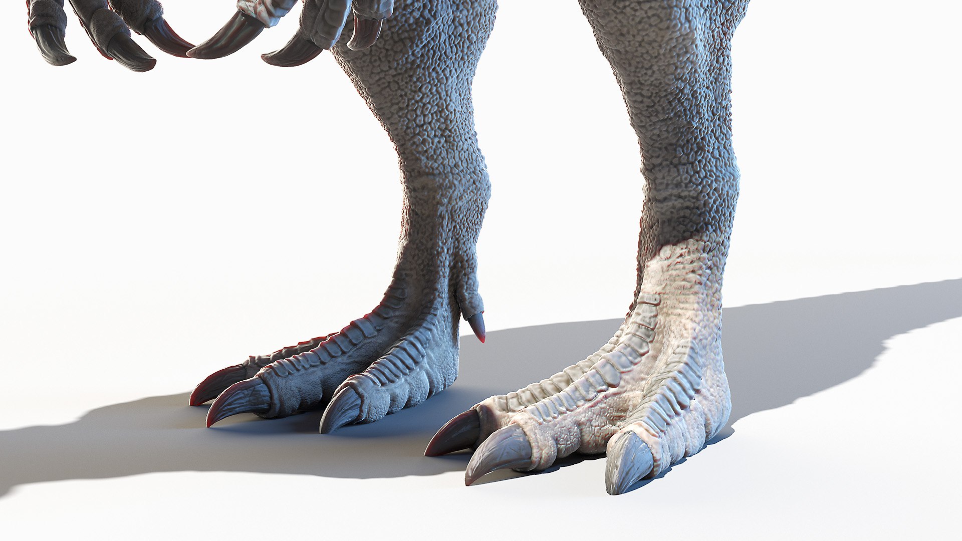 3D Torvosaurus Animated Model - TurboSquid 1741793