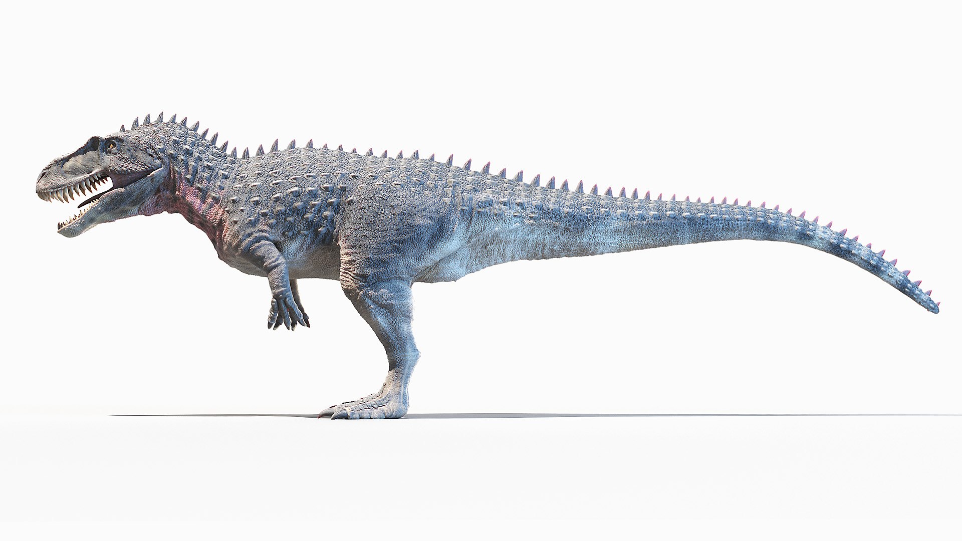 3D Torvosaurus Animated Model - TurboSquid 1741793