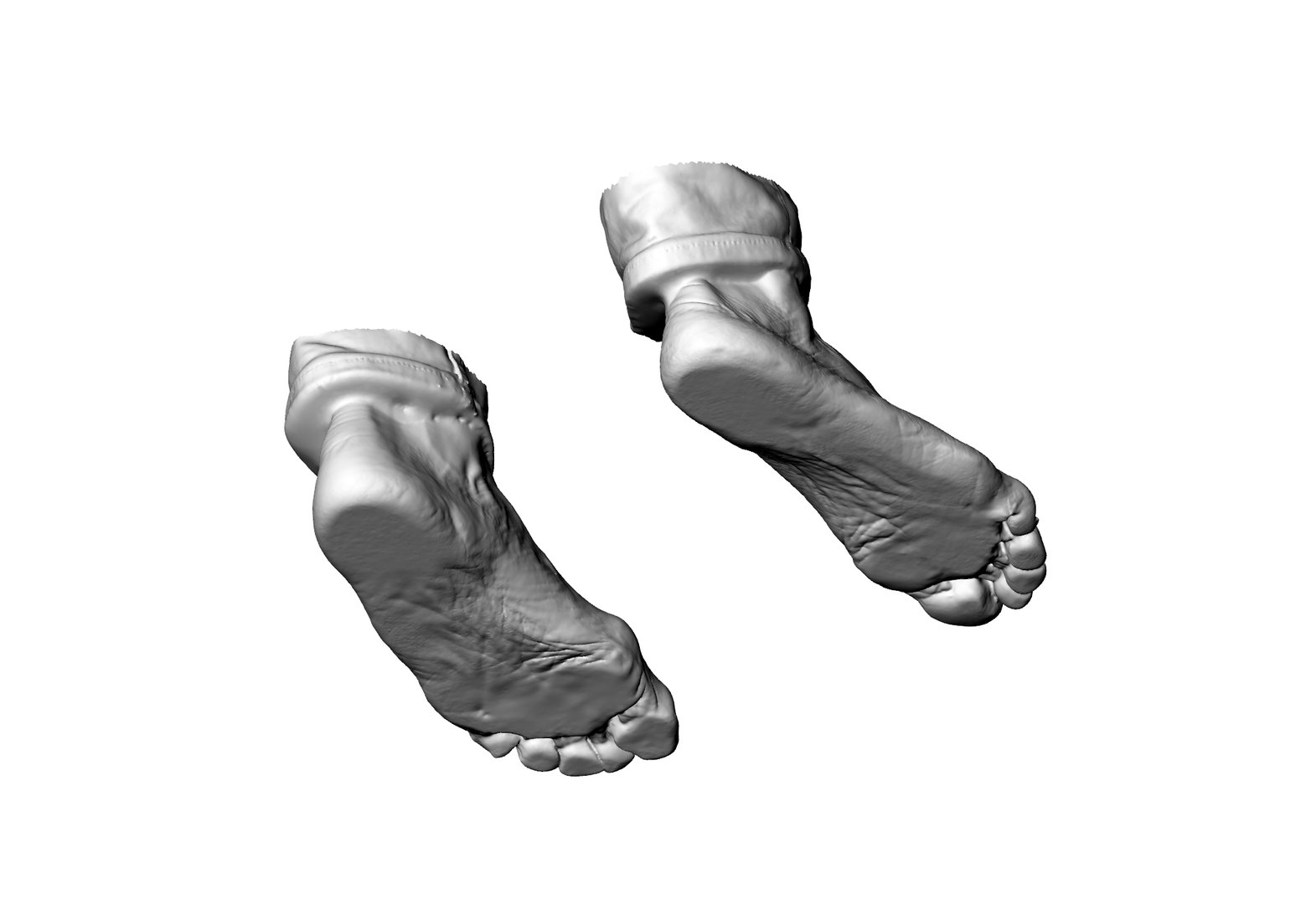Foot-8 3D Model - TurboSquid 1803591