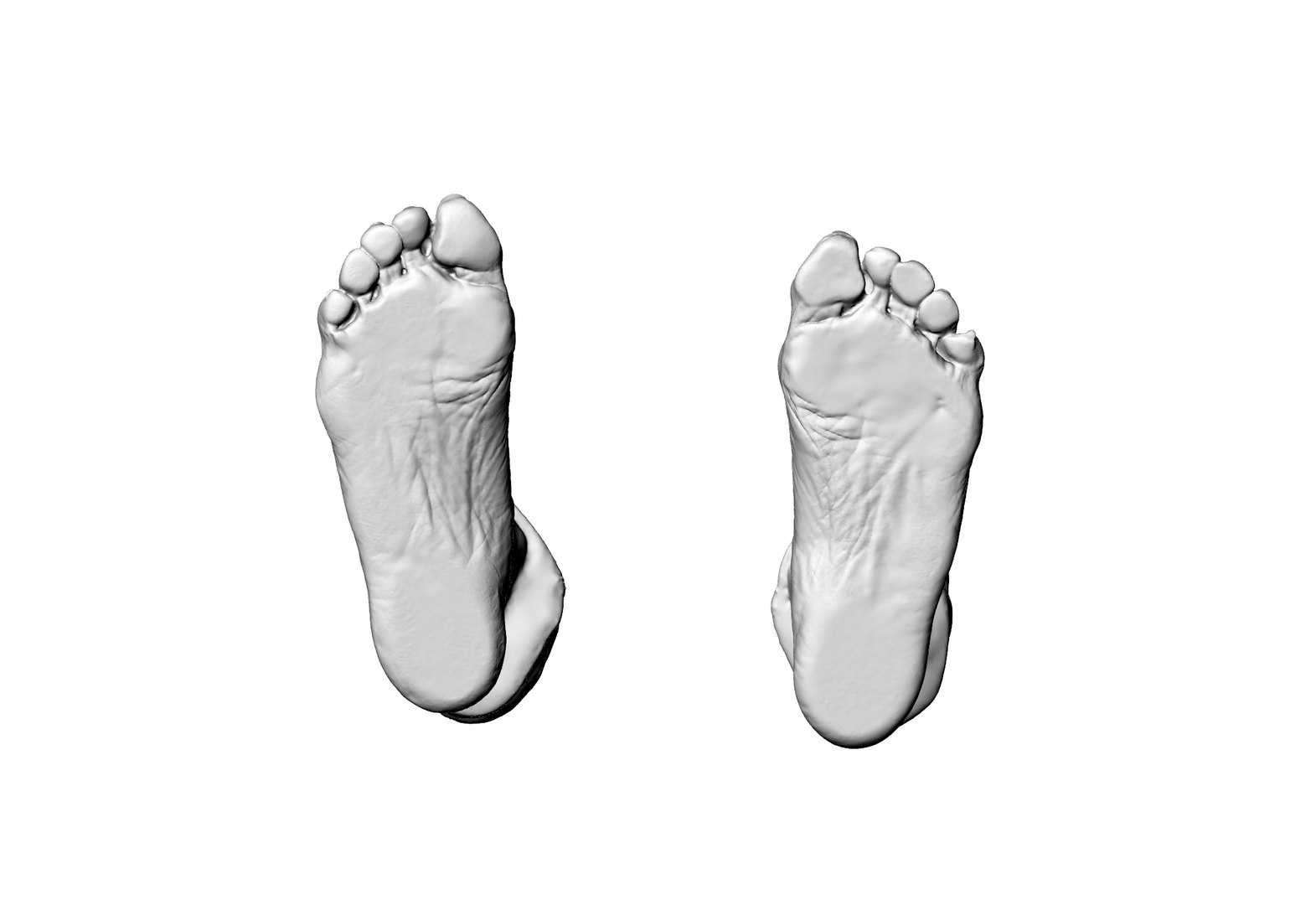 Foot-8 3D Model - TurboSquid 1803591