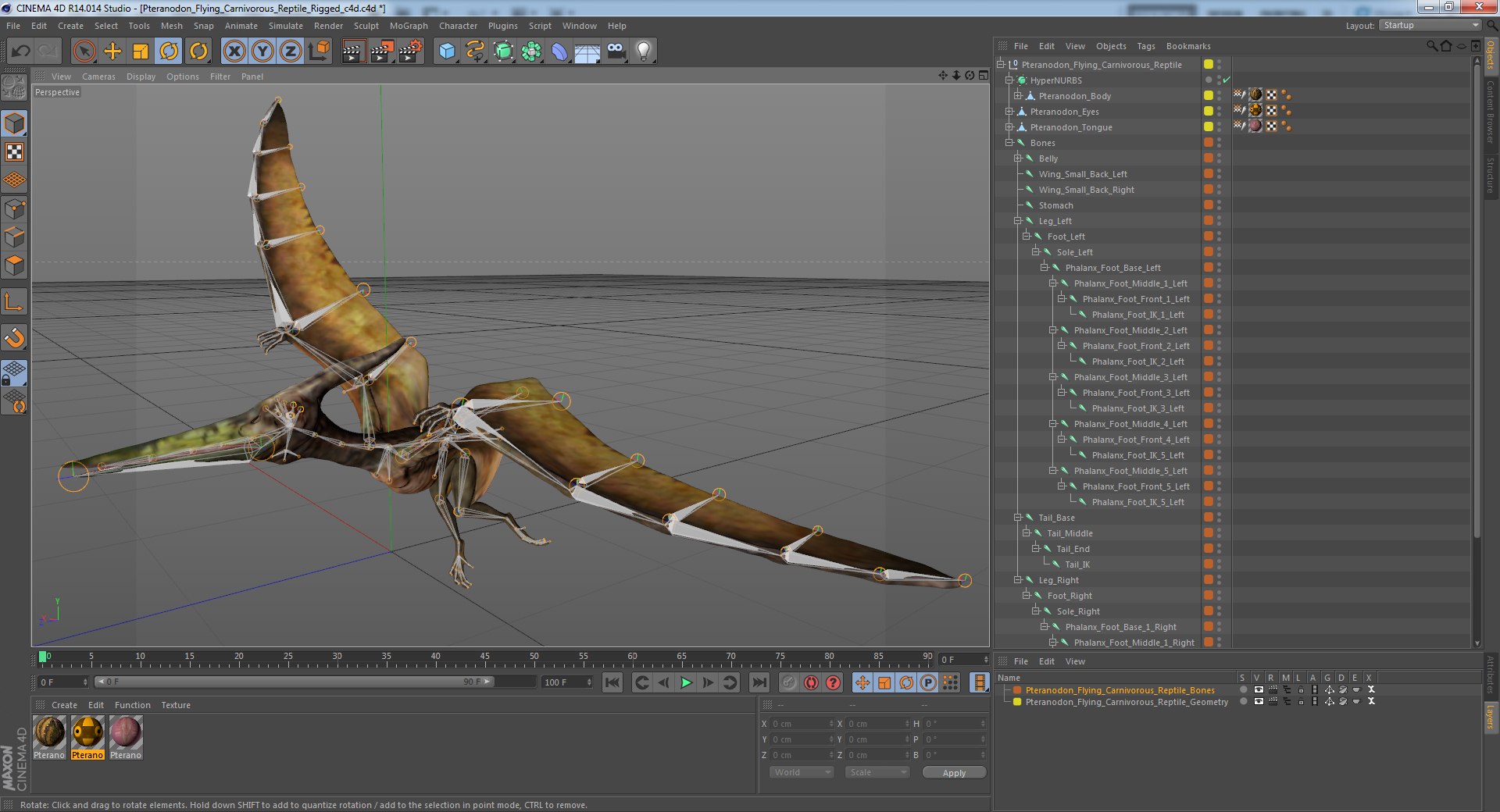 Pteranodon flying carnivorous reptile 3D model - TurboSquid 1435775