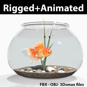 Animated Aquarium 3D Models For Download | TurboSquid