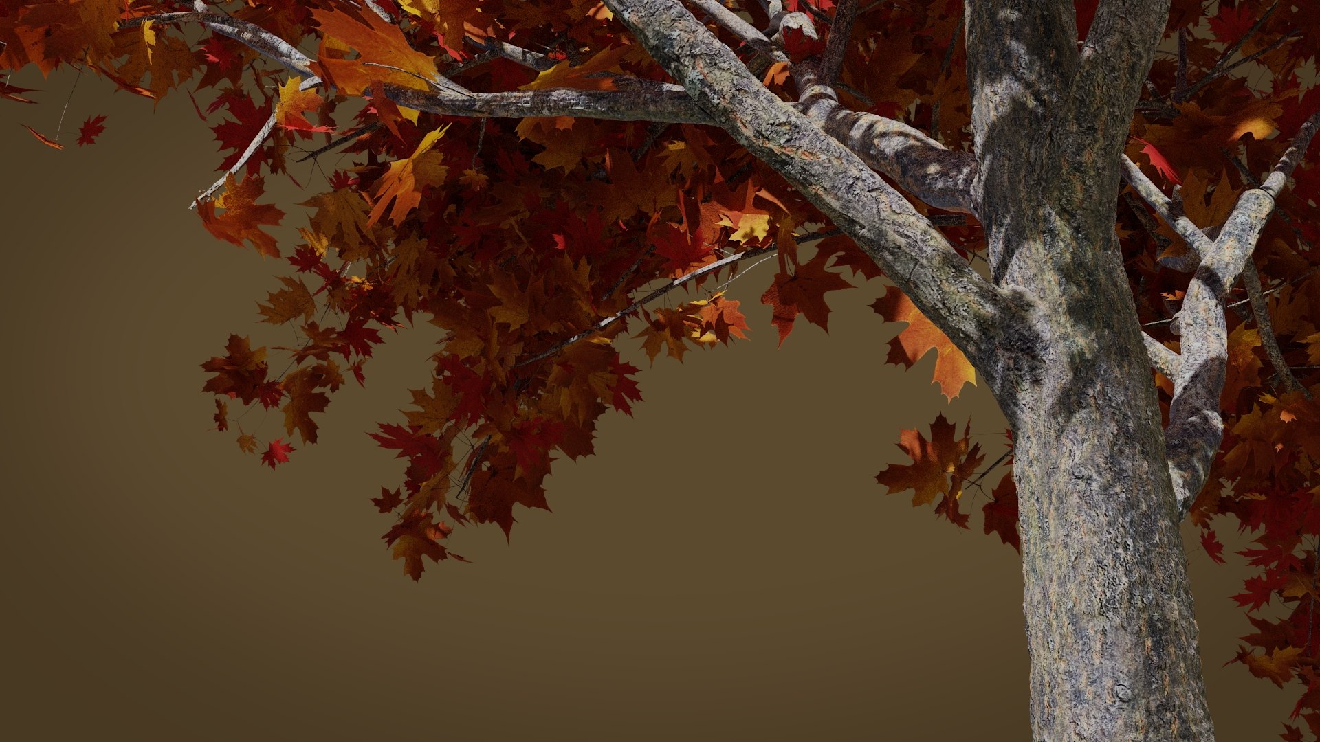 3D Maple Autumn Trees - TurboSquid 1480872