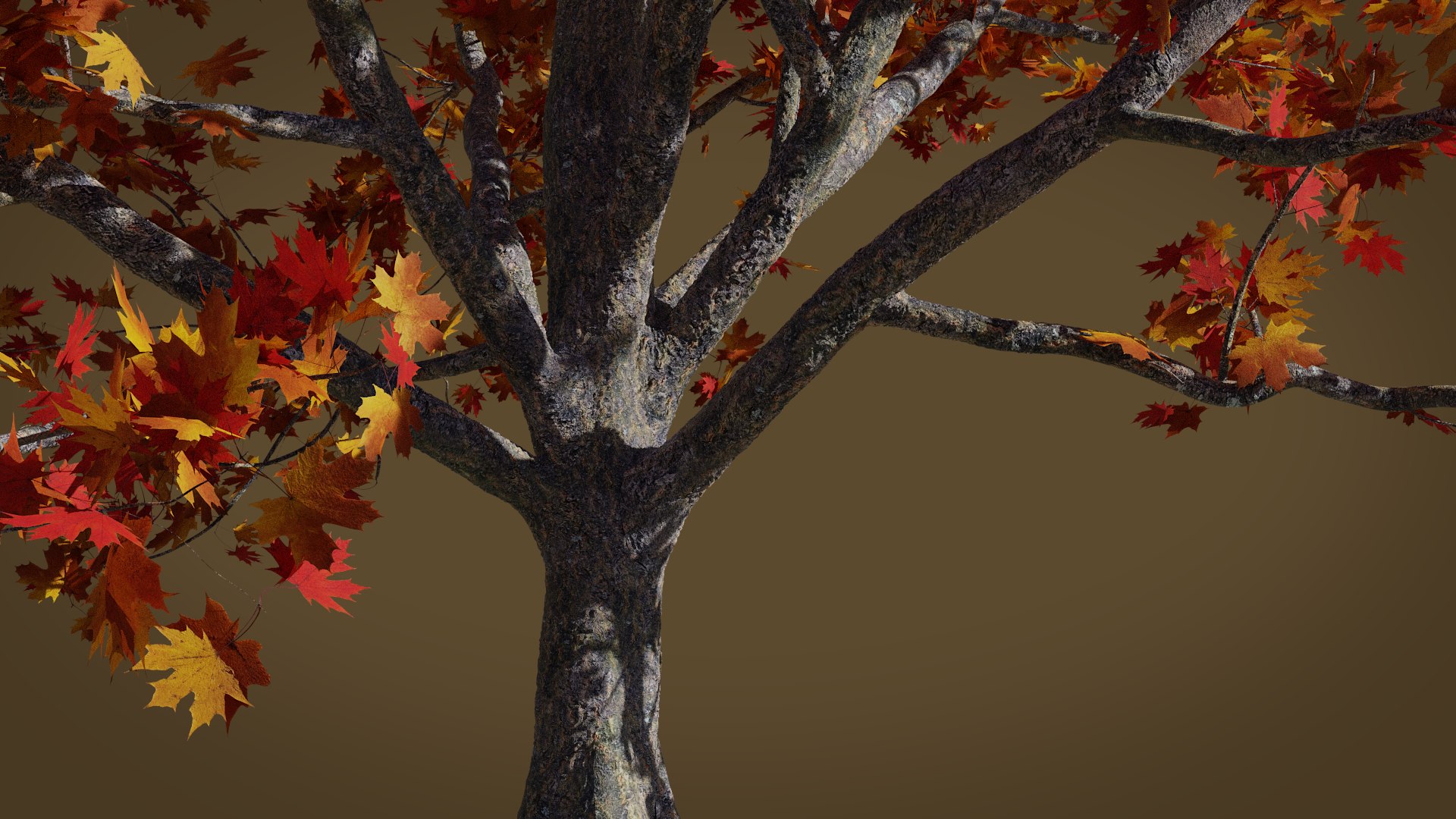 3D Maple Autumn Trees - TurboSquid 1480872