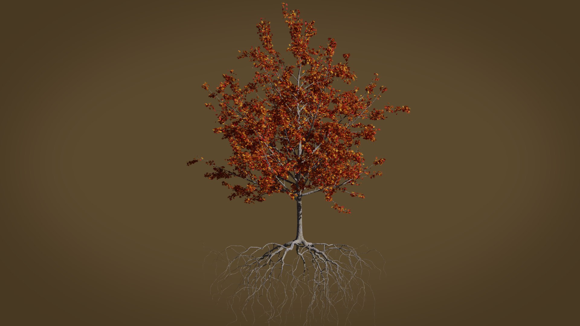 3D Maple Autumn Trees - TurboSquid 1480872