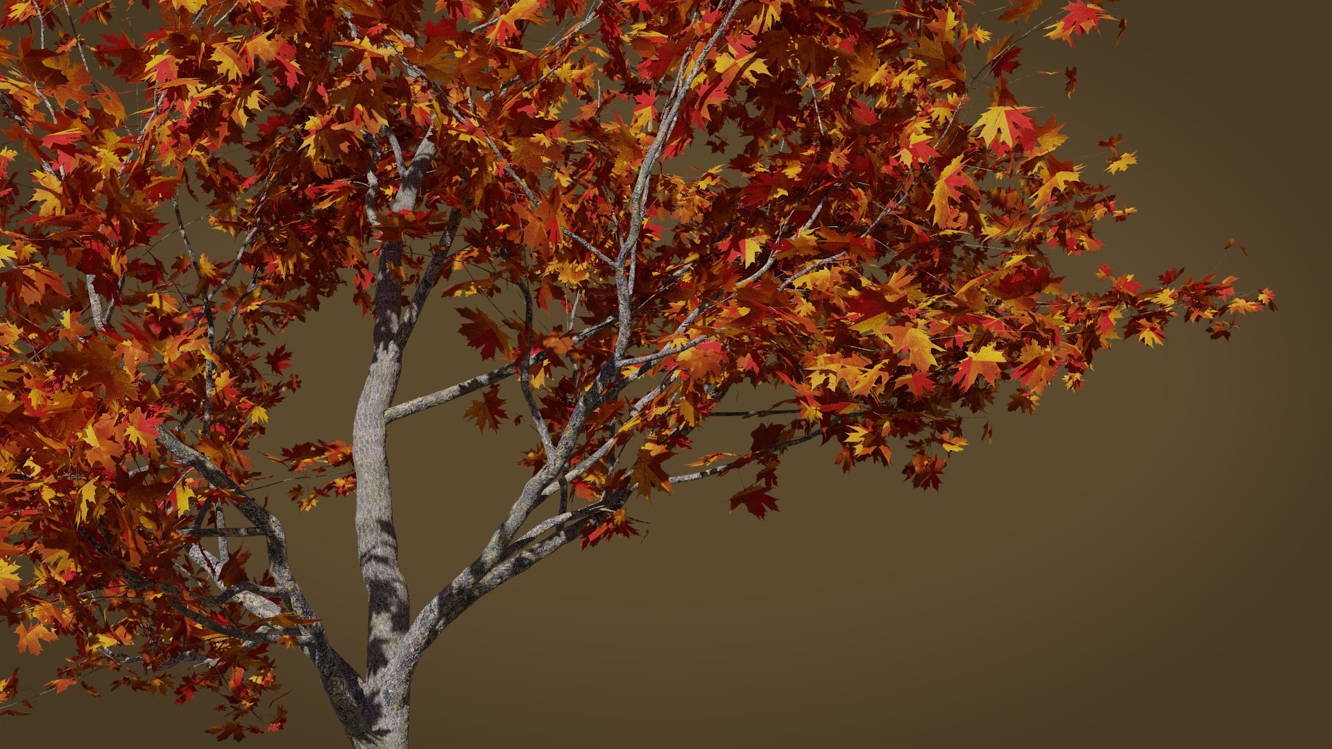 3D maple autumn trees - TurboSquid 1480872