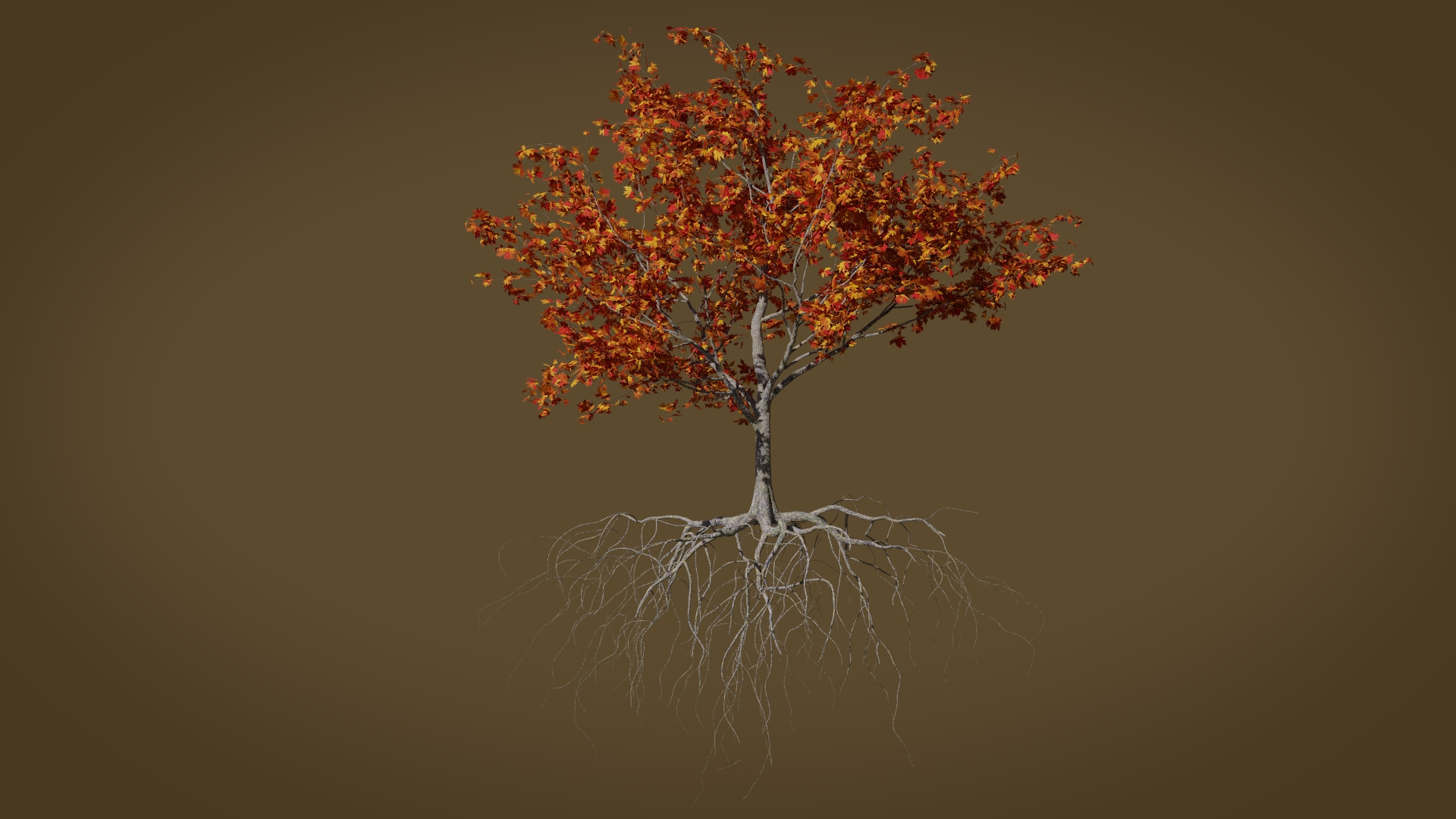 3D Maple Autumn Trees - TurboSquid 1480872