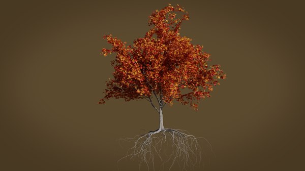 3D maple autumn trees - TurboSquid 1480872