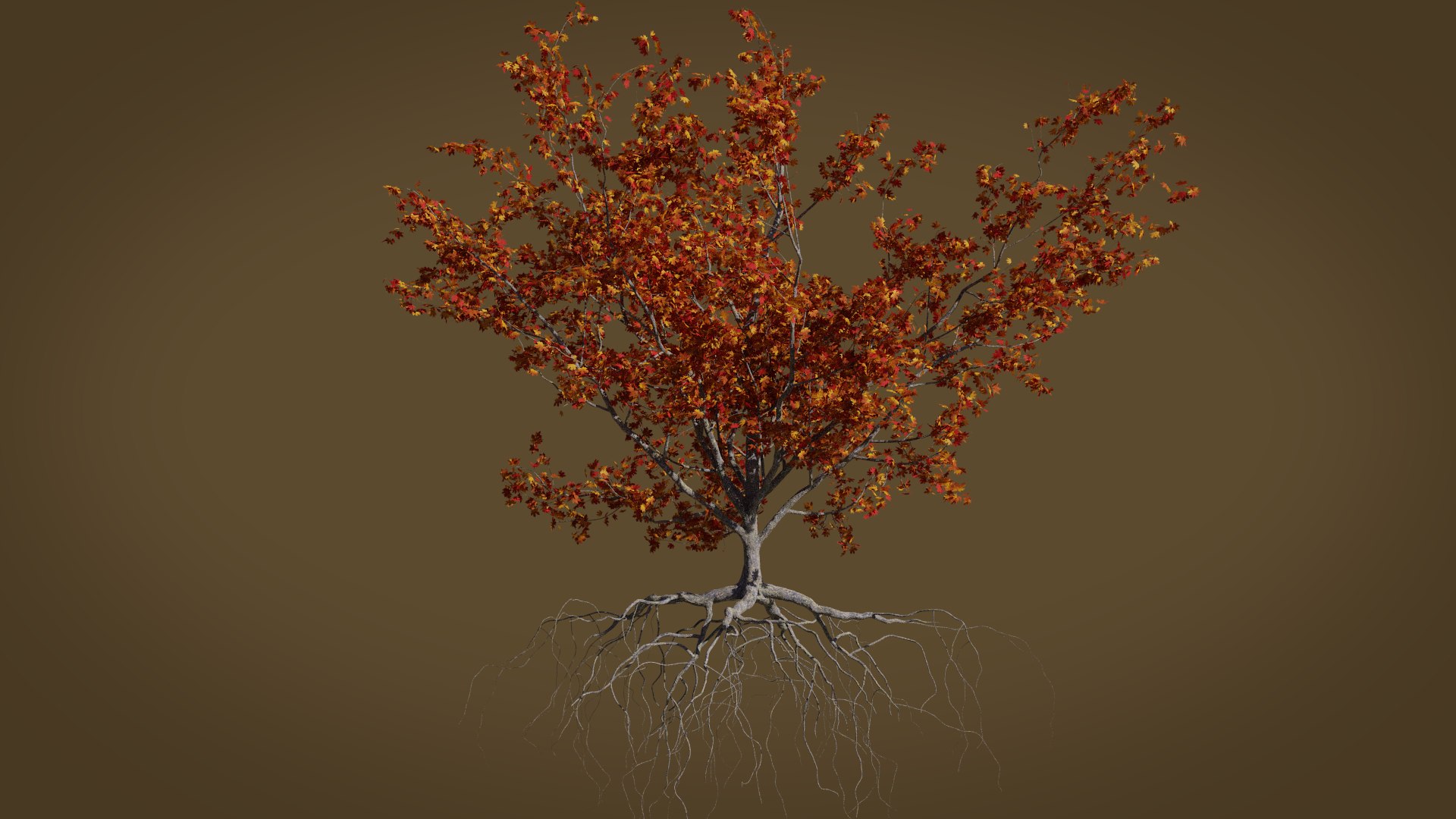 3D Maple Autumn Trees - TurboSquid 1480872
