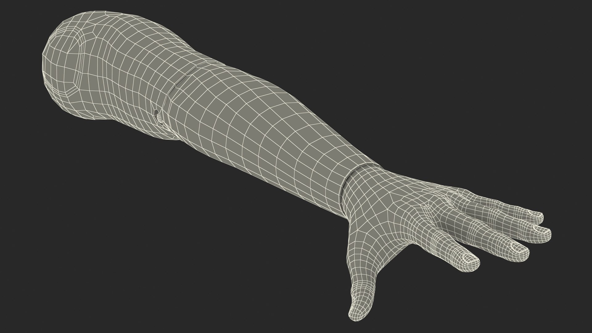 Student practice arm simulator 3D - TurboSquid 1487480