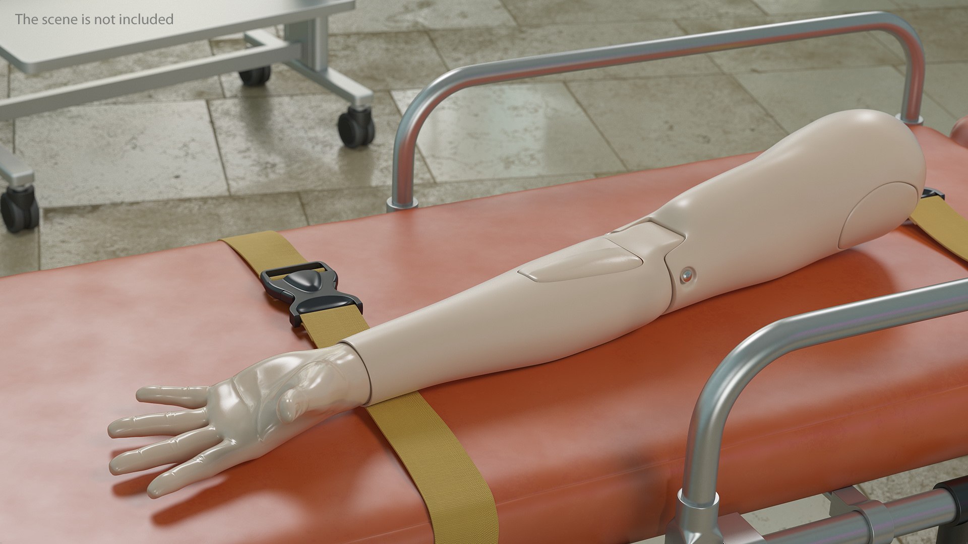 Student Practice Arm Simulator 3D - TurboSquid 1487480