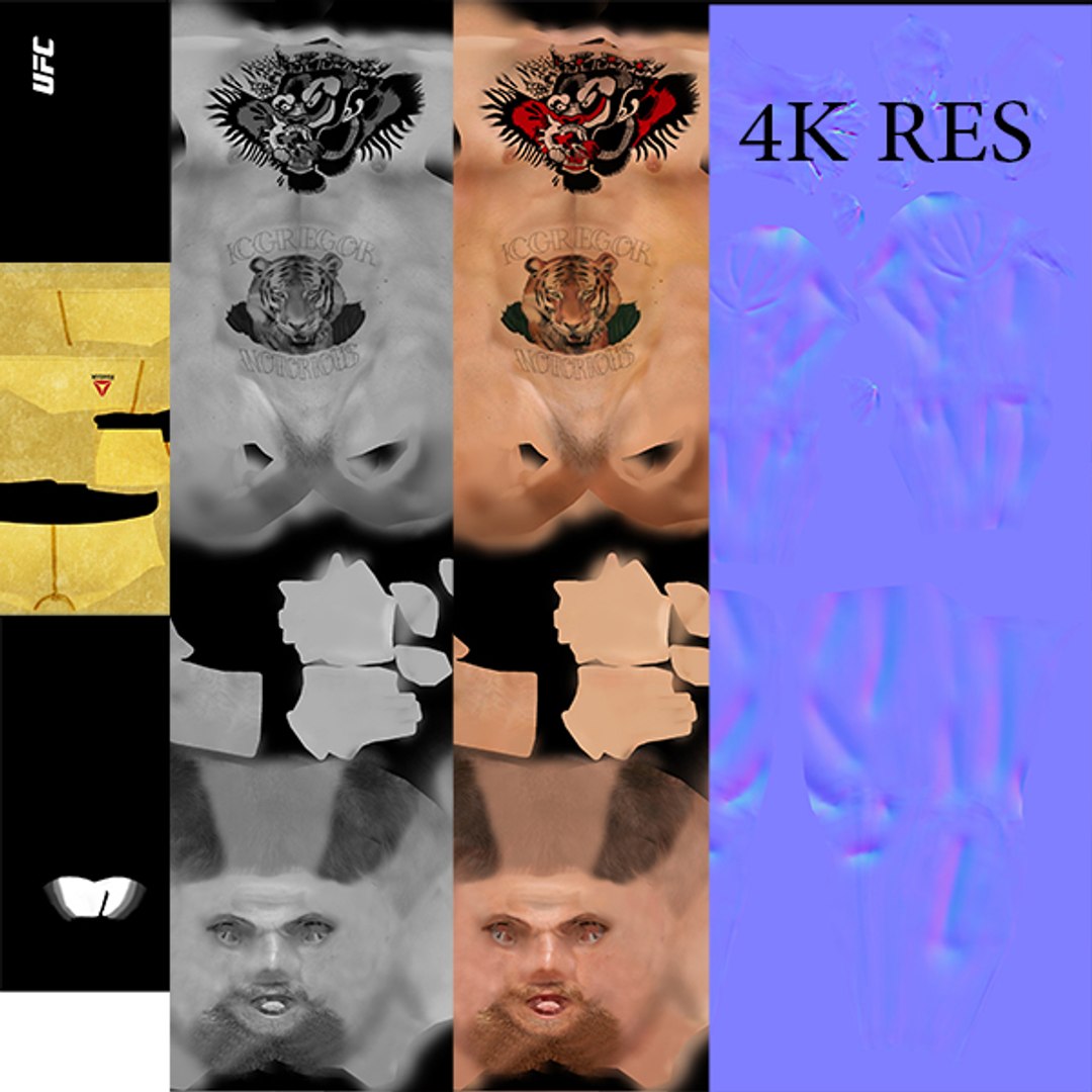 3D Ufc Conor - TurboSquid 1334325