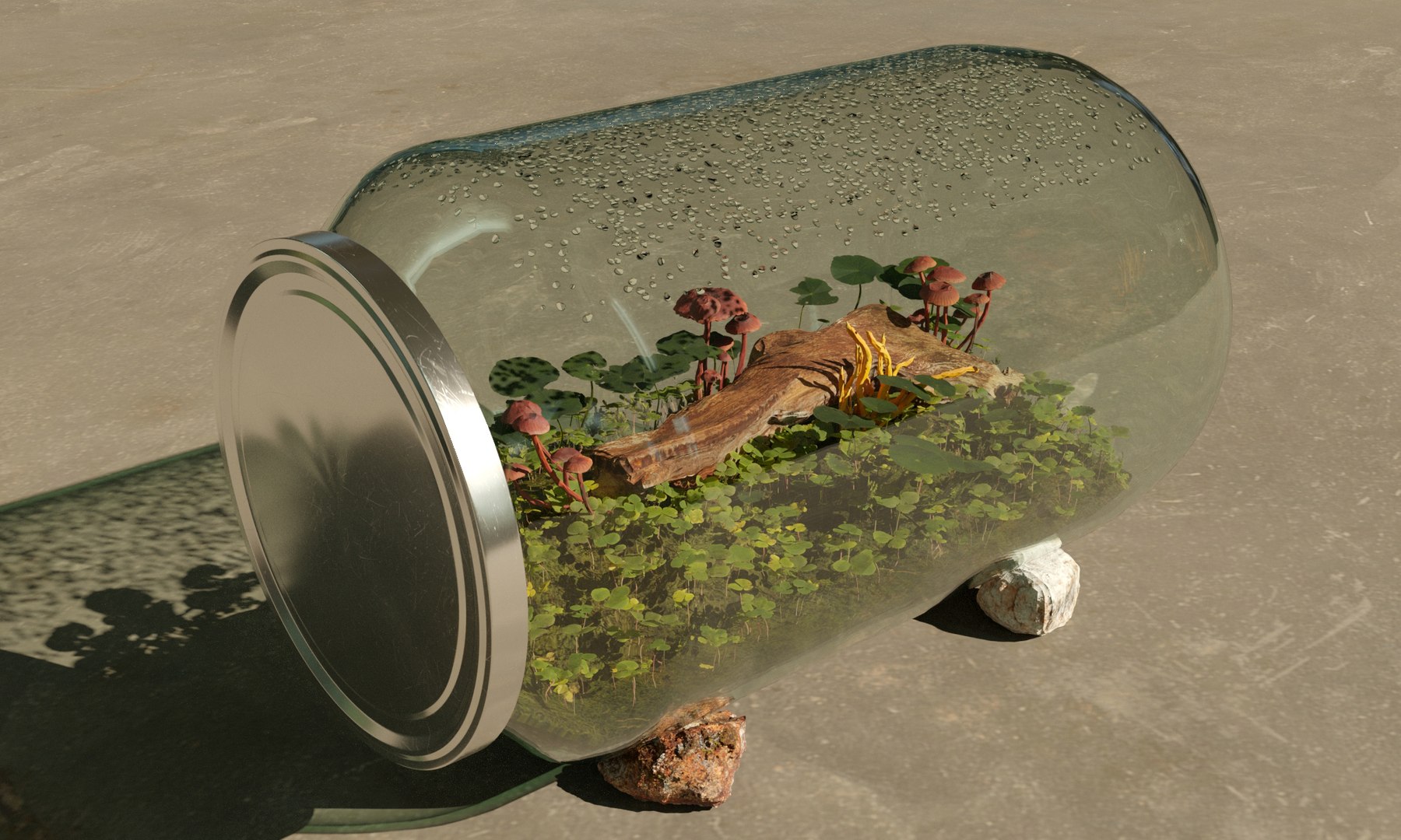 Terrarium Jar 3D Model - TurboSquid 1574562