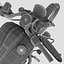 harley davidson fxs blackline 3d model