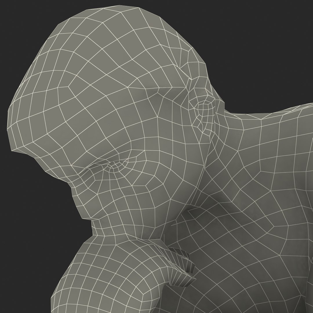 3d model thinker