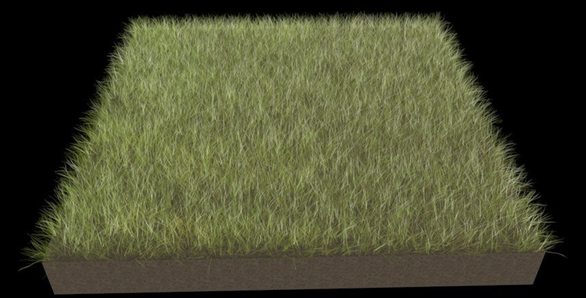 Dynamic Grasses 3d Model